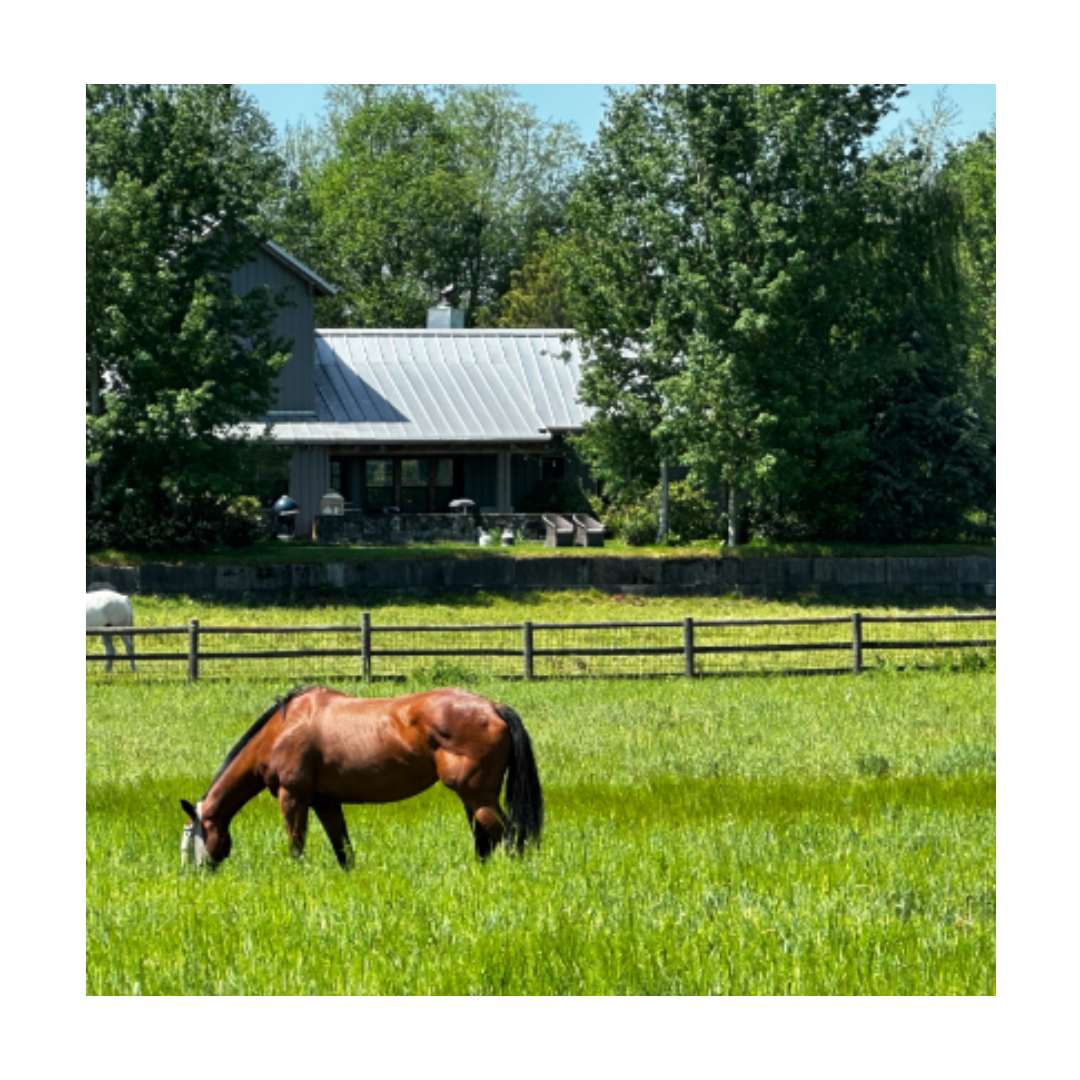 TGT Vintage – 10 Goal Tailgate